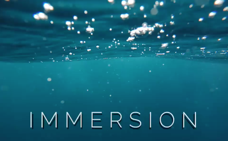 Immersion is Key – HexaNeph Games